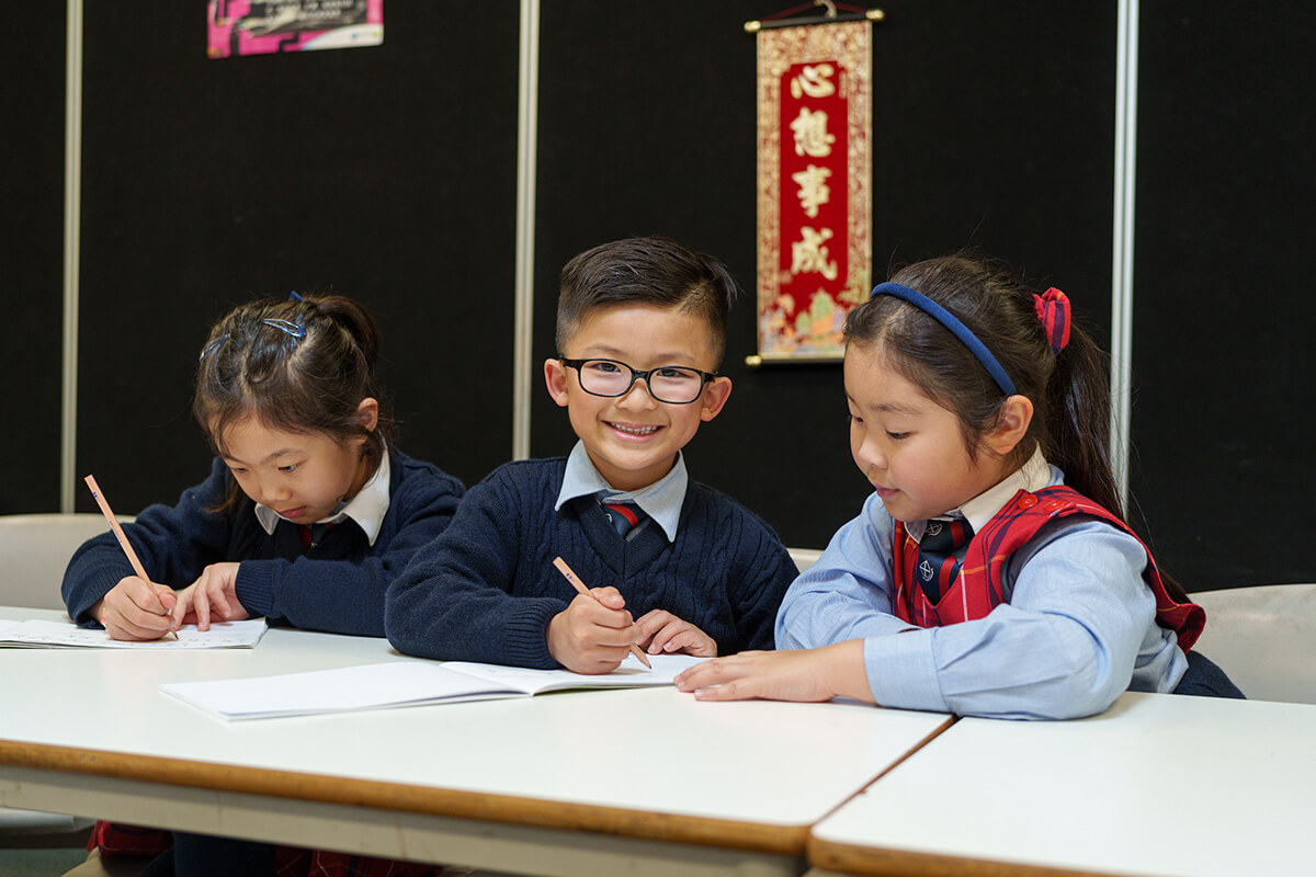 Languages | Specialist Curriculum | Learning | St Andrew's School